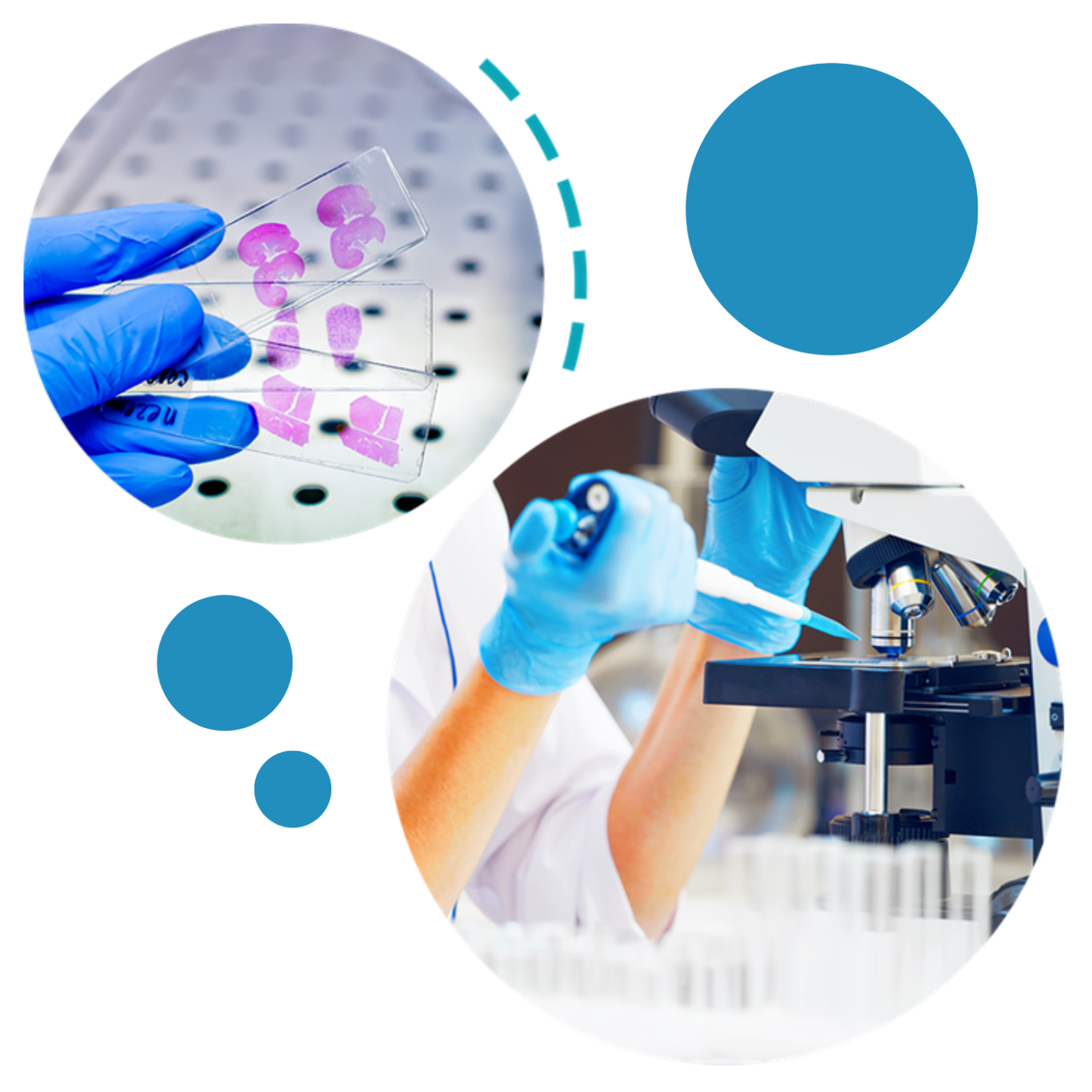 Indocare Pathology Lab